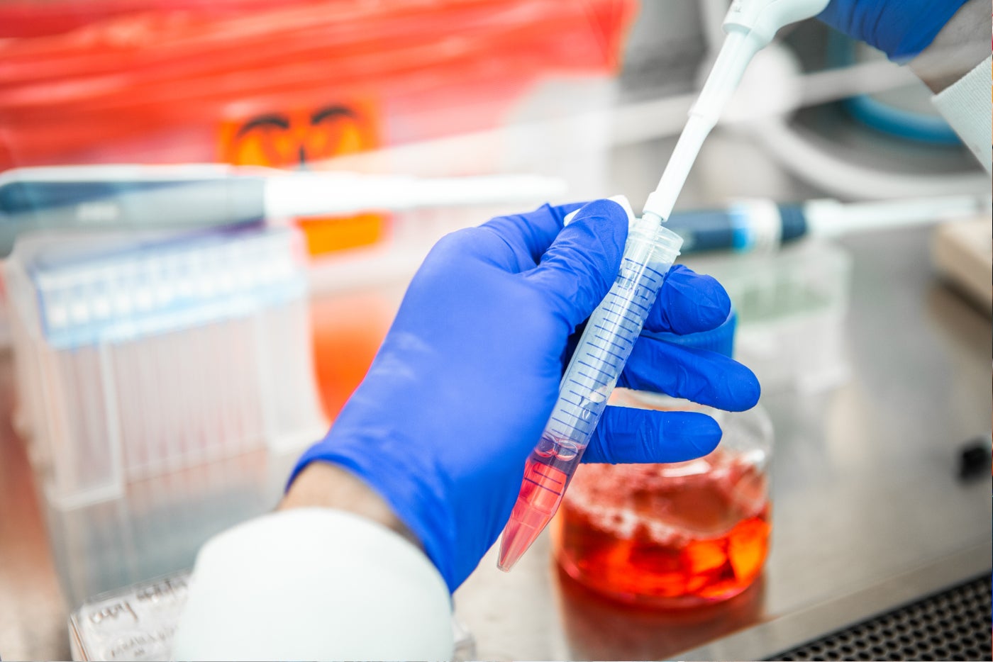 BSCRC awards grants to 12 game-changing stem cell research and technology projects